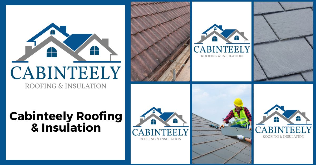 Dublin Roofing Company Roofing and Insulation services